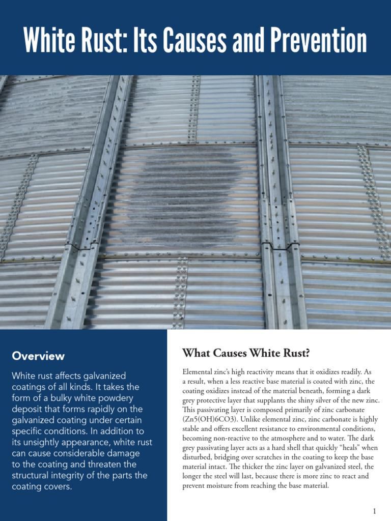 19 7 White Rust | PDF