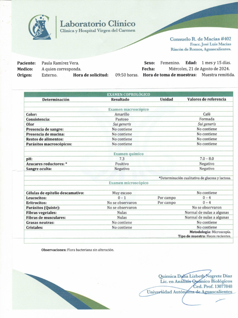 Scan 21082024163614 | PDF