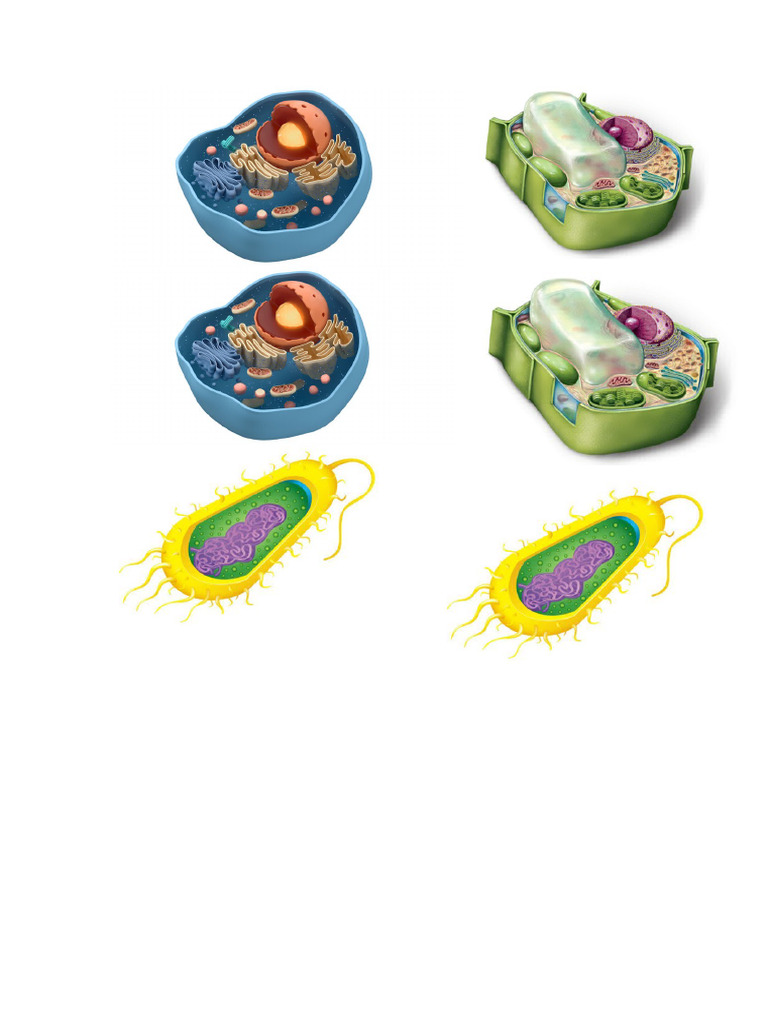 Apontamentos de Biologia | PDF