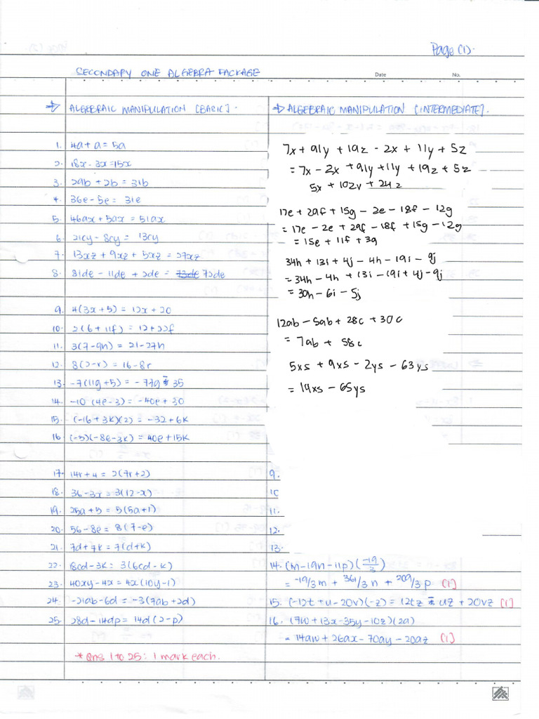 Secondary 1 Algebra Package 2020 - Worked Solutions | PDF