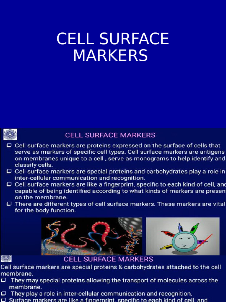Cell Surface Markers | PDF
