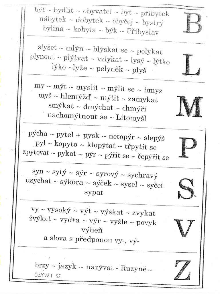 Přehled - Vyjmenovaná Slova | PDF