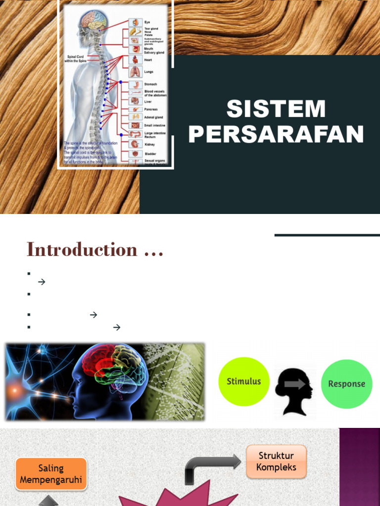 Sistem PERSARAFAN | PDF