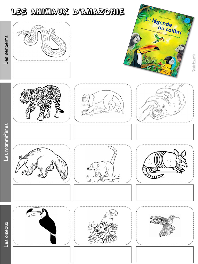 Les Animaux Damazonie LB | PDF