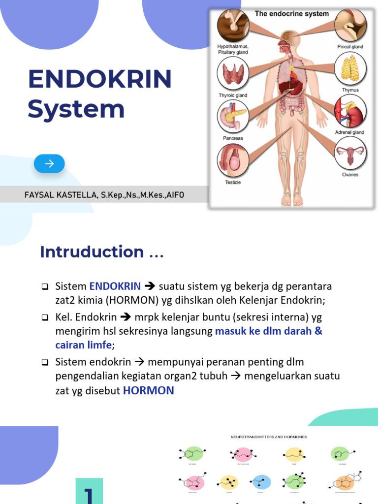 Sistem ENDOKRIN | PDF