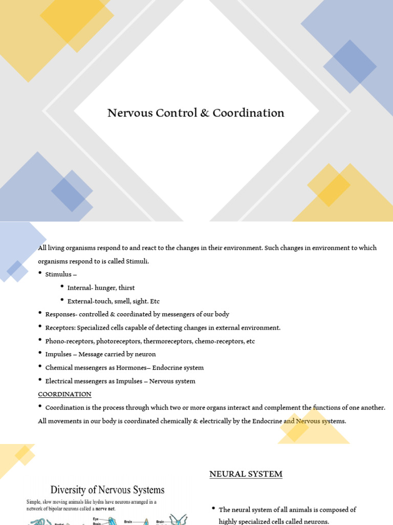 Nervous Control Coordination Notes Pdf