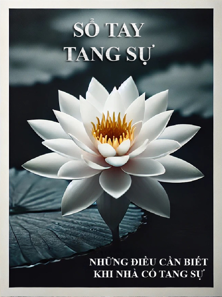 So Tay Tang Su - Dong Lao Team | PDF