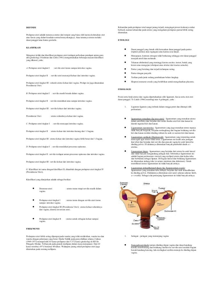 Prolapsus Uteri | PDF