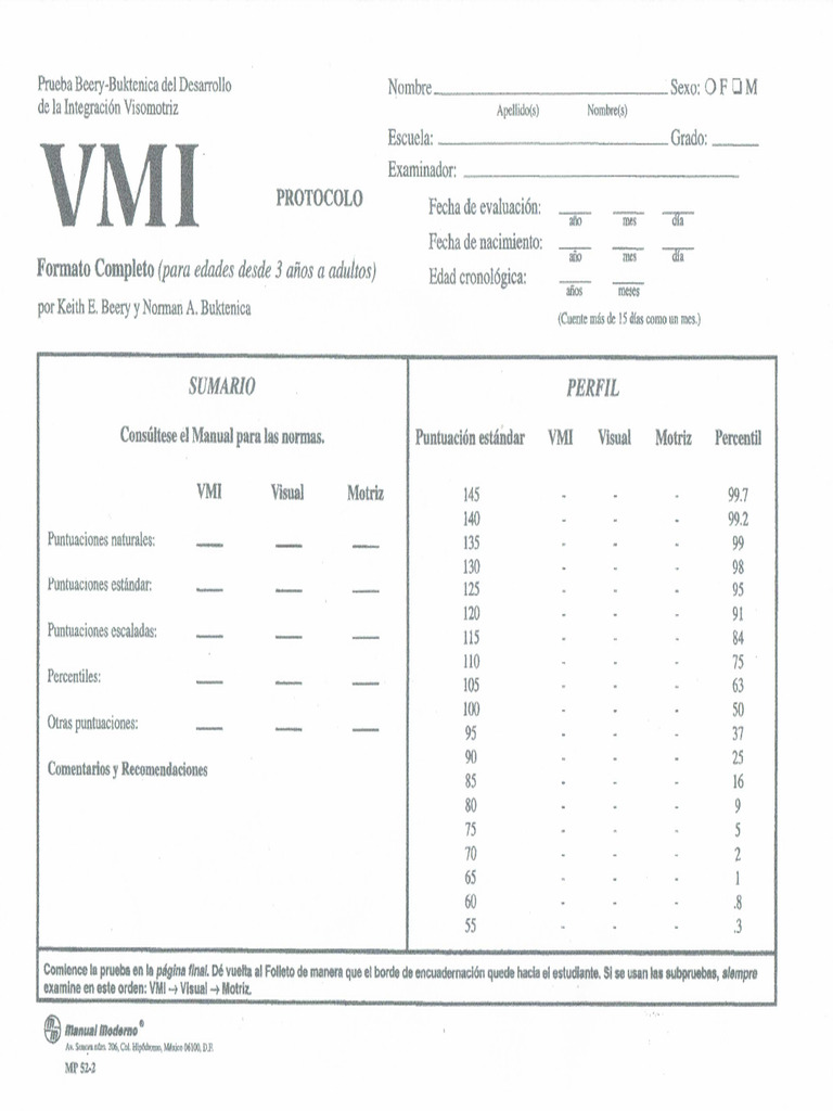 VMI Formato Completo | PDF