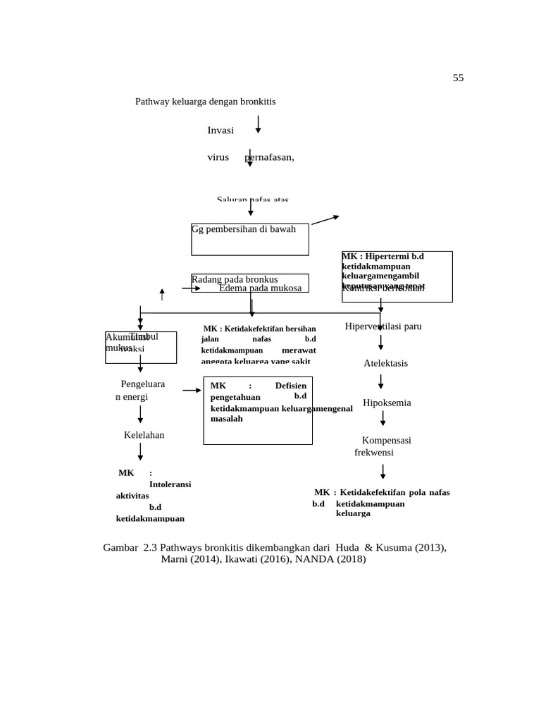 K. Pathway Bronkitis | PDF