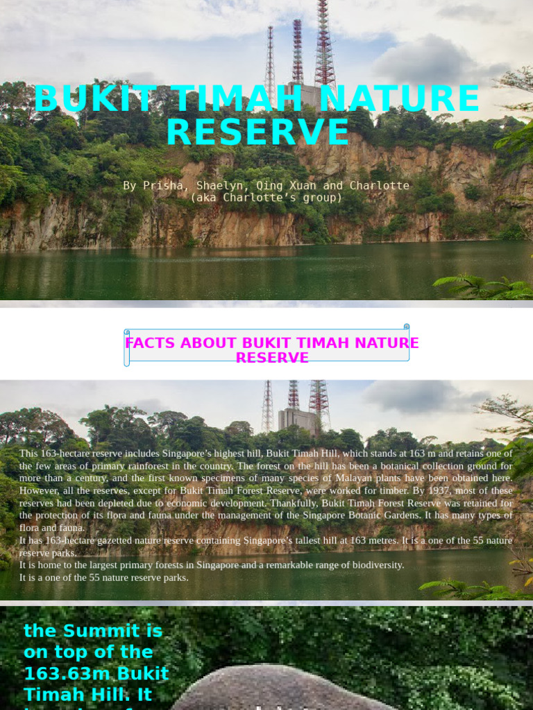 Untitled Presentation 1 | PDF