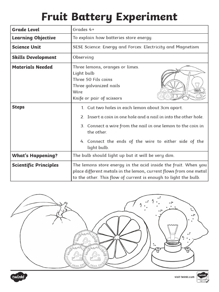 Option Homework Activity-Fruit-Battery-Science-Experiment-English | PDF ...