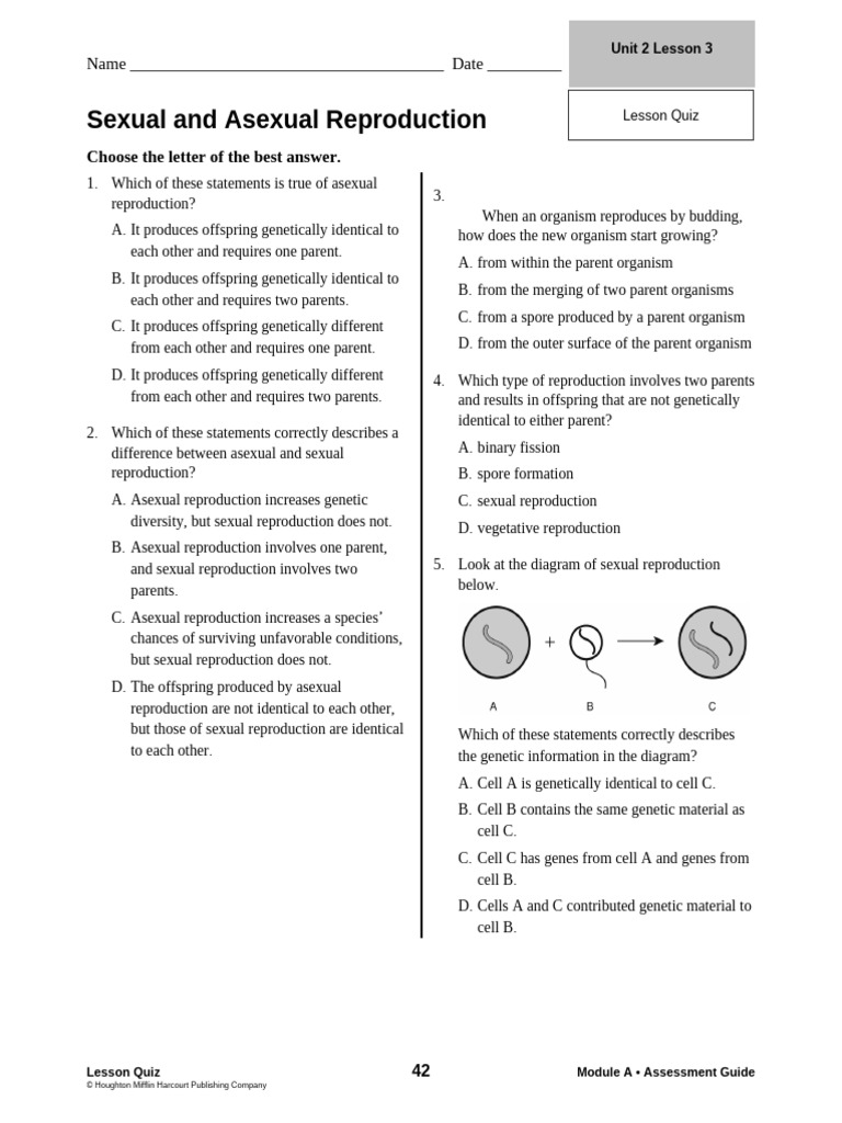 Heredity Quiz 3 | PDF