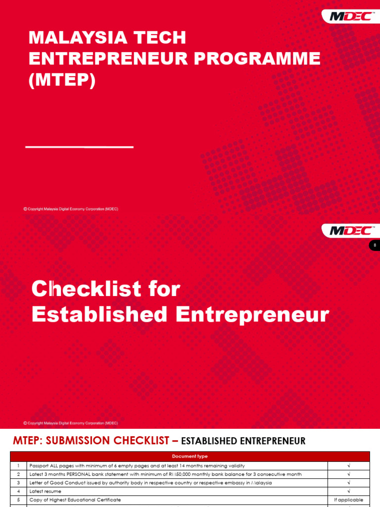 Checklist For Established Entrepreneur | PDF