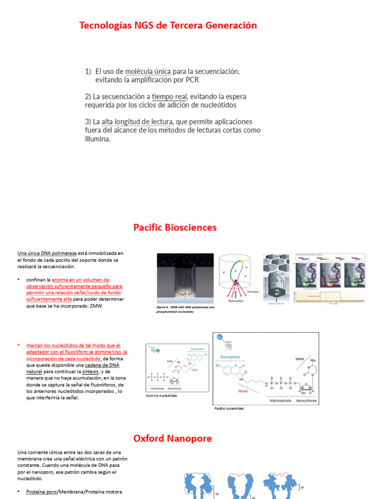 T1.6 Third Generation Sequencers | PDF