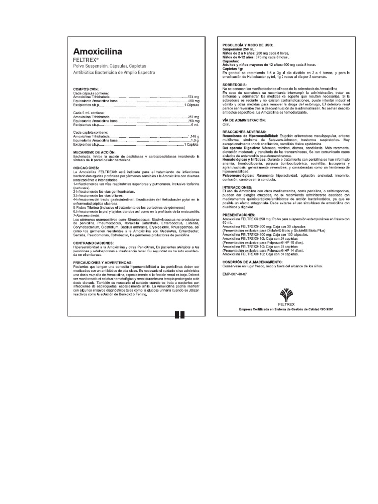 Prospecto Amoxicilina 1 | PDF