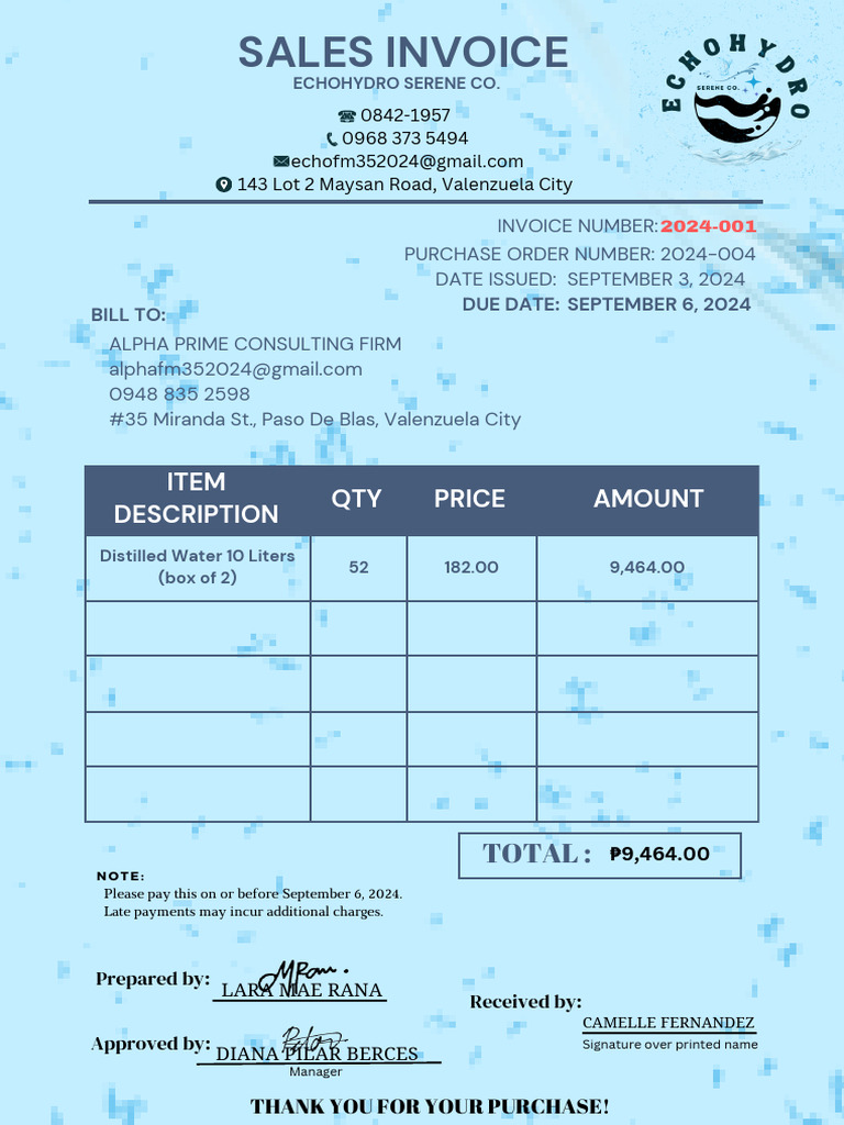 SALES INVOICE_2024-001 | PDF