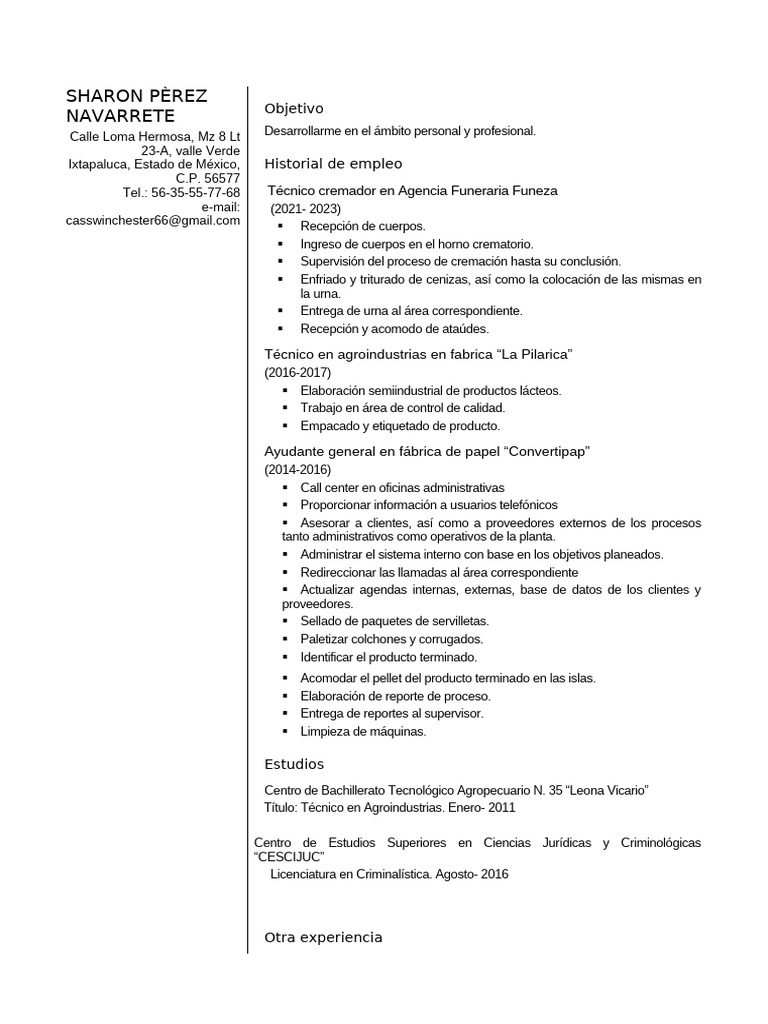 SHARON PÈREZ NAVARRETE CV 2 | PDF | Informática