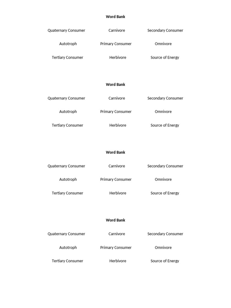 Food Web Word Bank | PDF