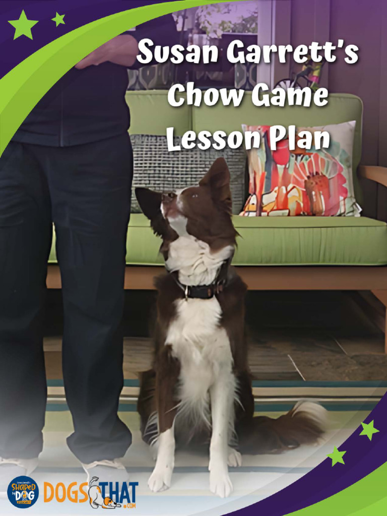 Susan Garrett The Chow Game Lesson Plan | PDF