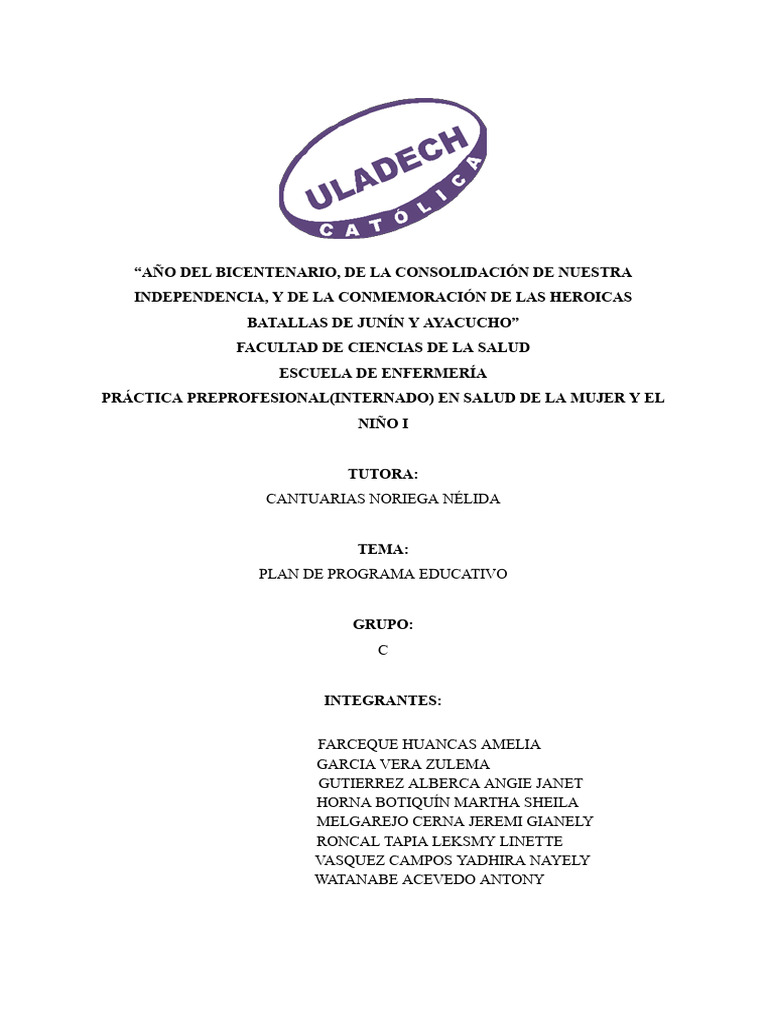 Plan de Programa Educativo | PDF