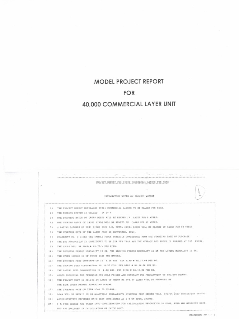 Model Project Report For 40000 Commercial Layer Unit | PDF