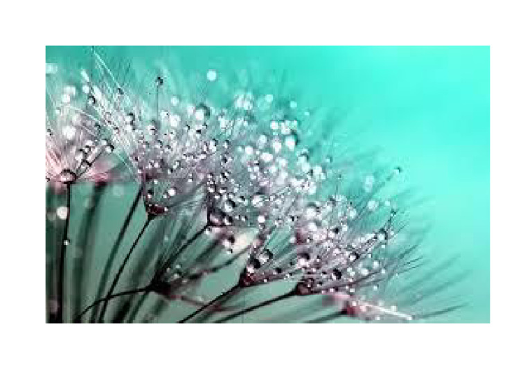 Beautiful Scenery-6 | PDF