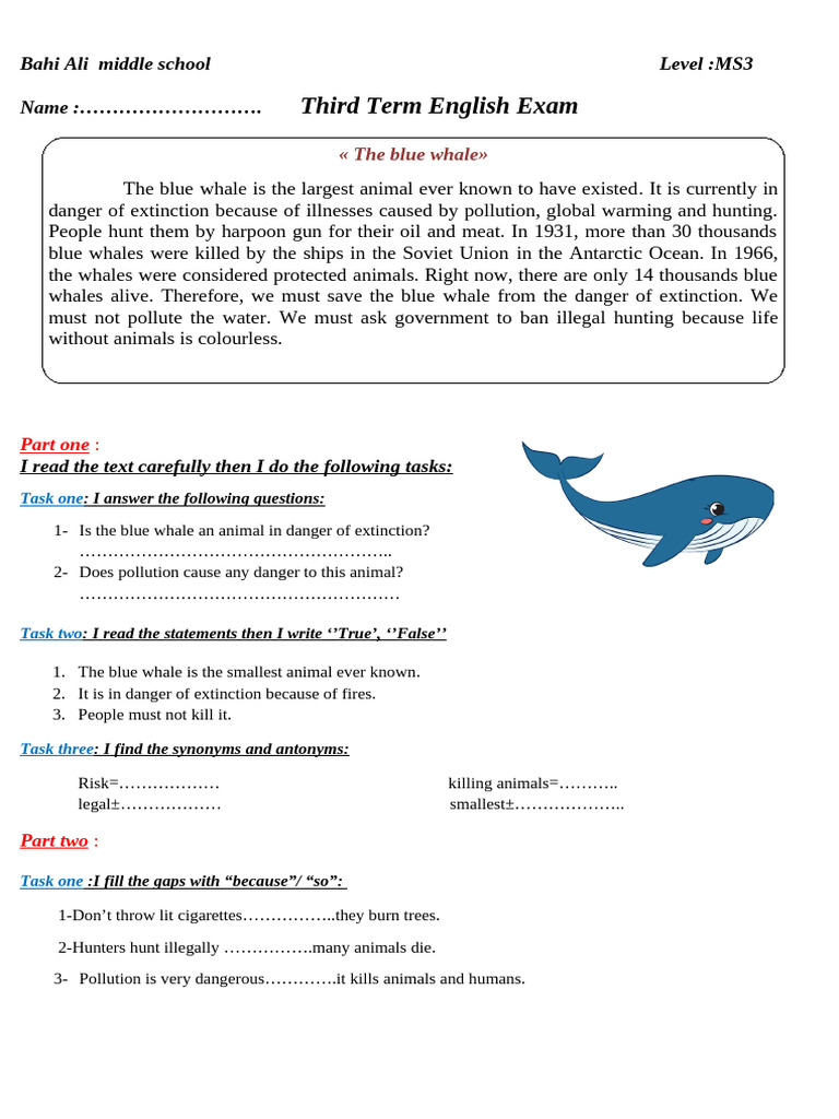 MS3 استدراك | PDF