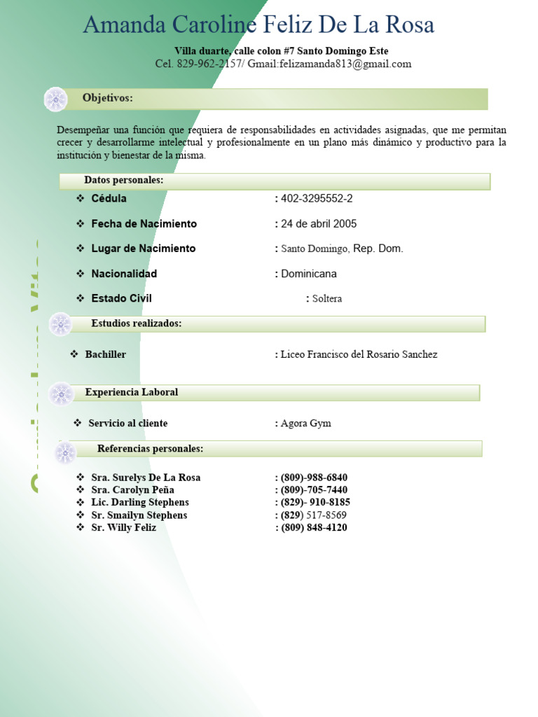 Amanda Curriculum | PDF