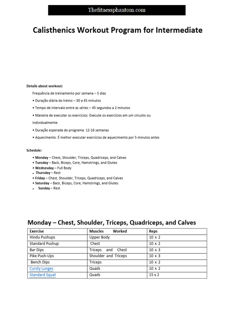 Calisthenics Workout Program PDF For Intermediate PDF | PDF