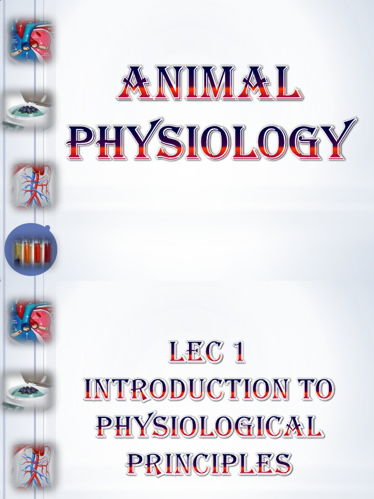 Lec 1 Introduction To Physiological Principles PDF | PDF