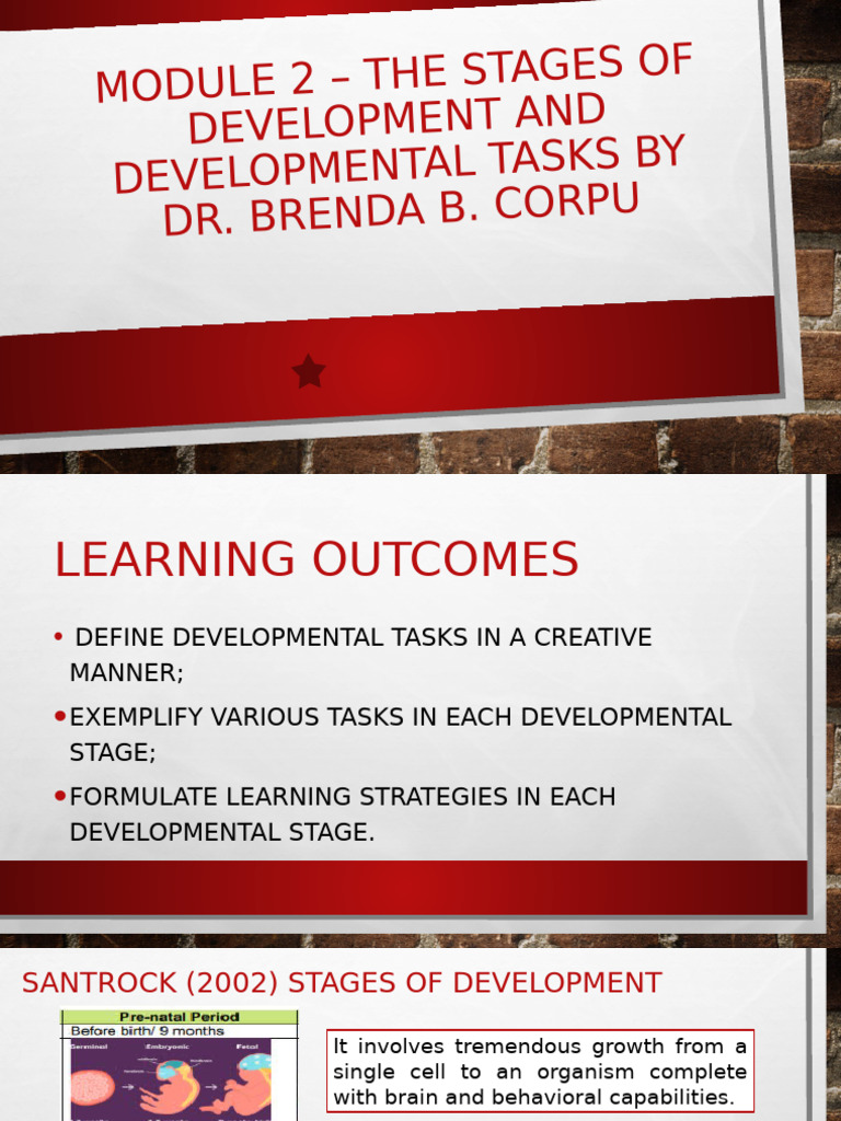 Module 2 The Stages of Development and | PDF