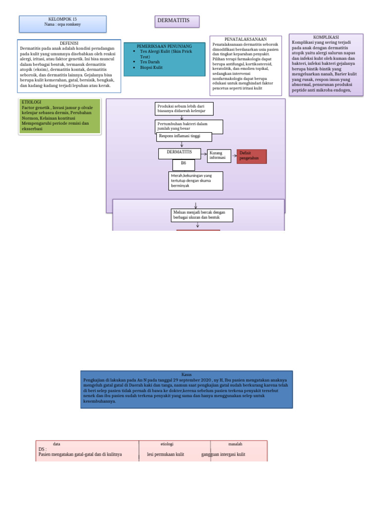 Dermatitis Kel 15 | PDF