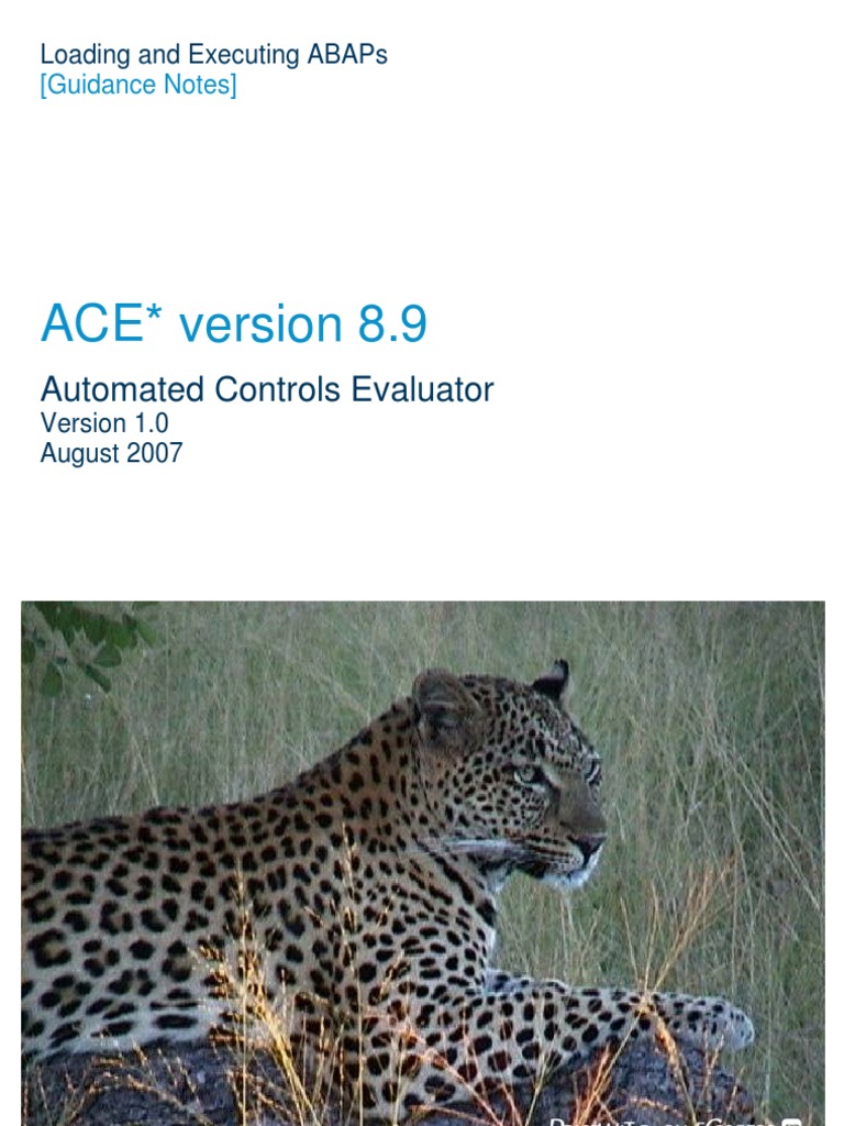 ACE Star - Load and Execute ACE ABAPs - Guidance Notes (A4) | PDF ...