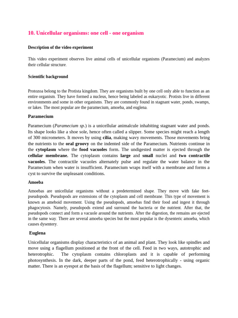 Unicellular Organisms - One Cell - One Organism | PDF