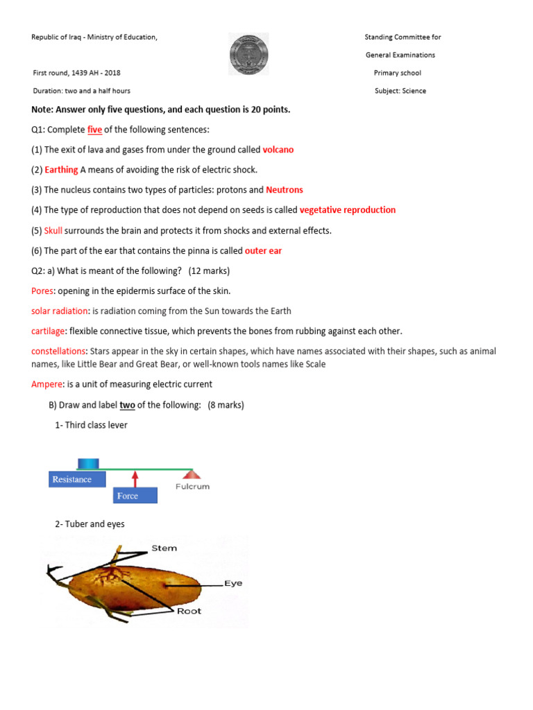 2018 1st Round Answers | PDF