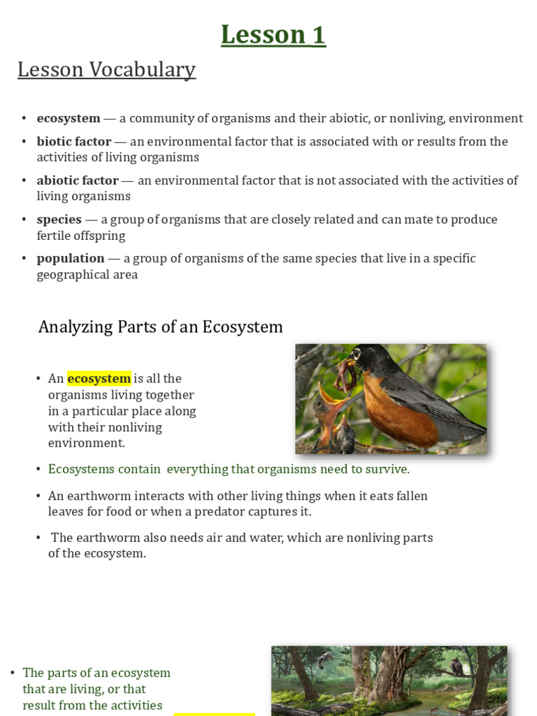 Unit 2 All Lessons | PDF