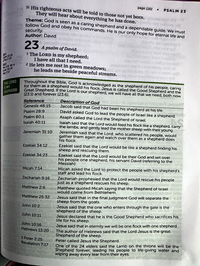Psalm 23 | PDF