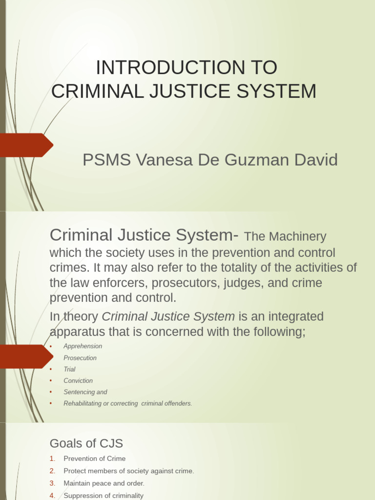 Introduction To Criminal Justice System | PDF
