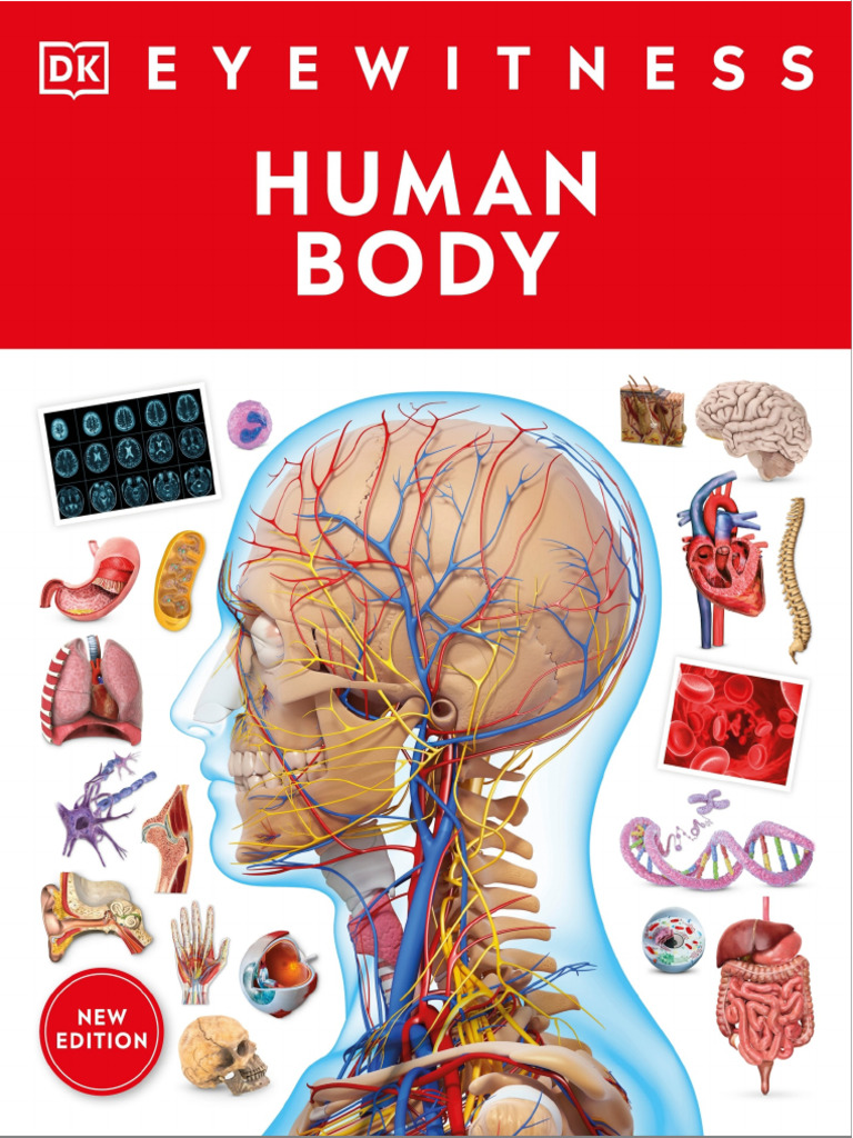 Human Body (DK) (Z-Library) | PDF