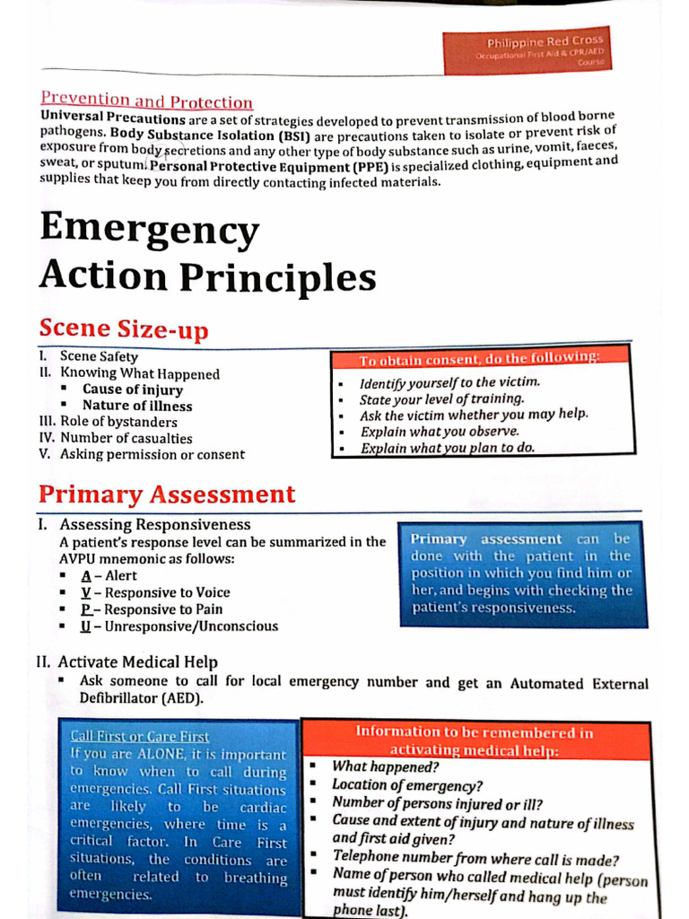 first aid lesson 2 | PDF