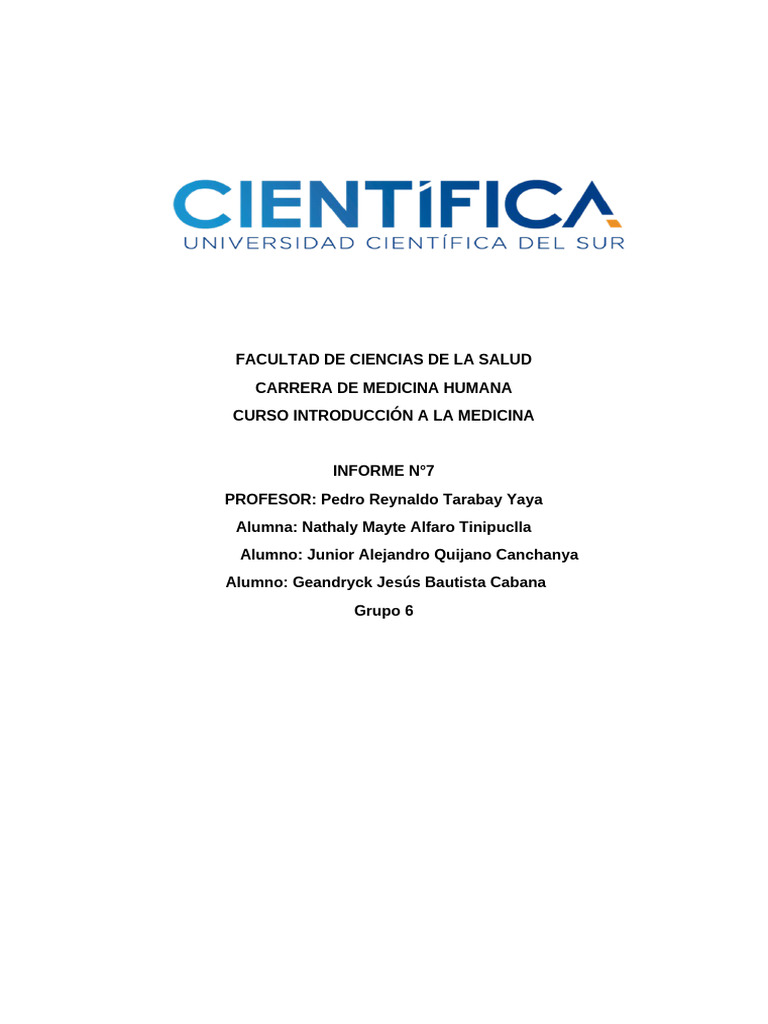 Informe 7 Intro | PDF
