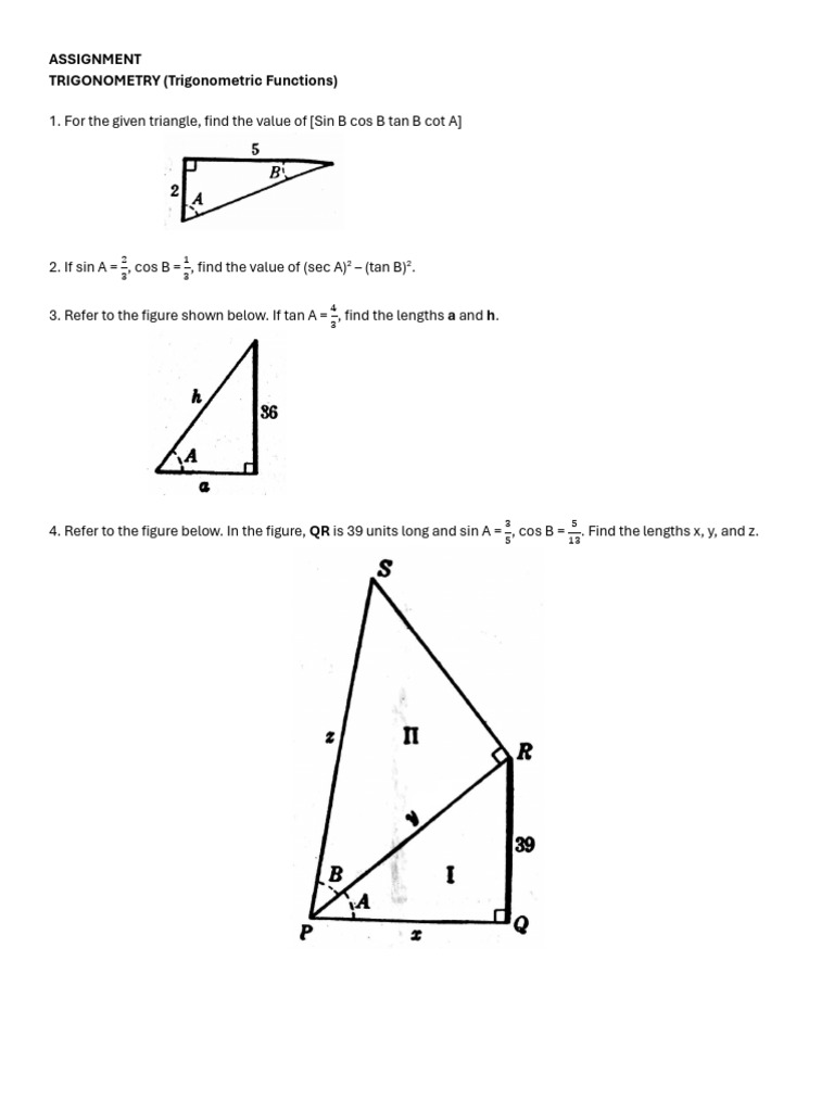 Assignment Trig Functions | PDF