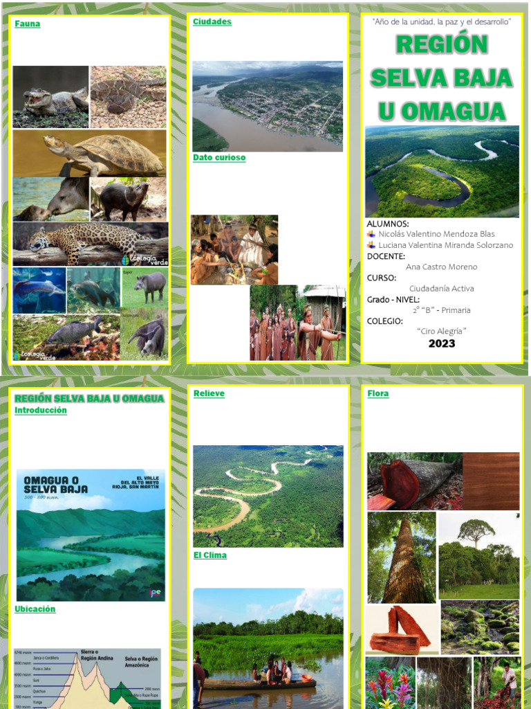 Selva Baja Triptico | PDF