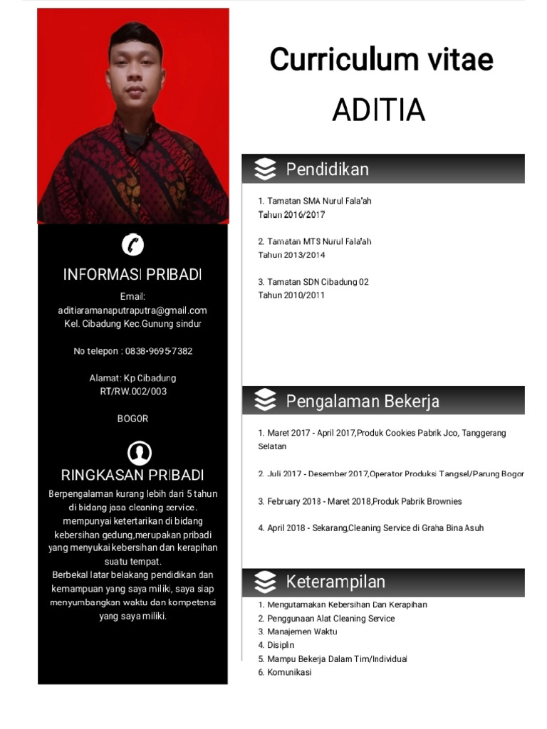 CV Aditya | PDF