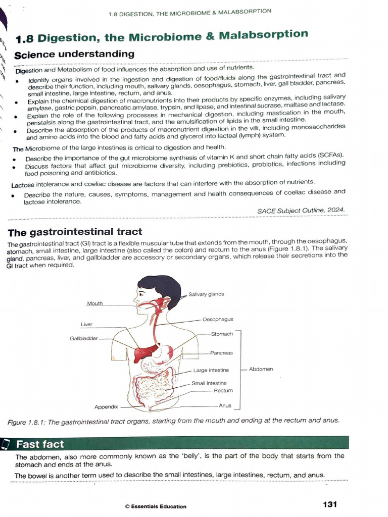 Digestion Microbiome and Malabsorption | PDF