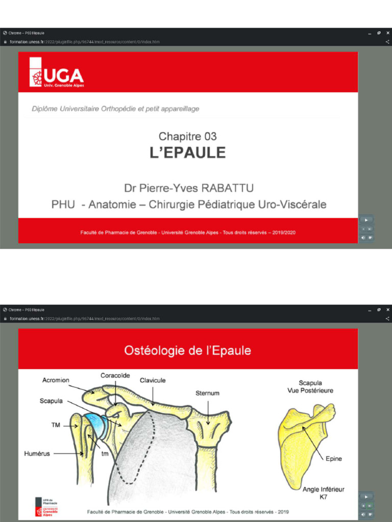 Anatomie de L'épaule | PDF