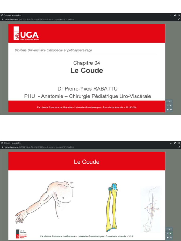 Anatomie Du Coude | PDF