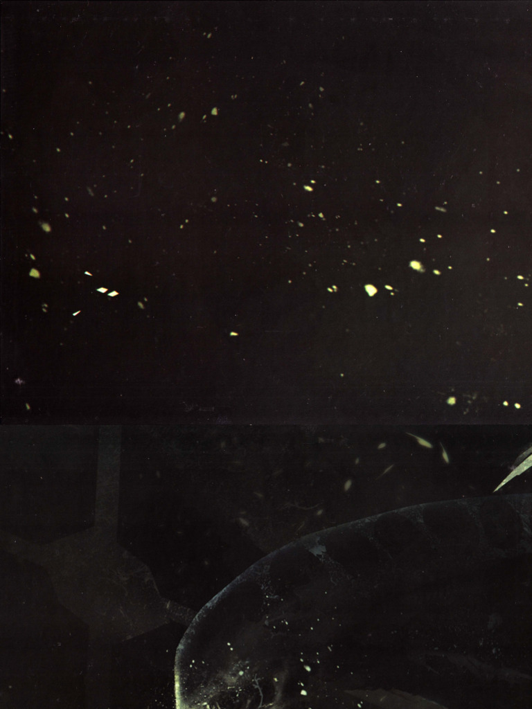 Pantalla DM Alien 2 | PDF