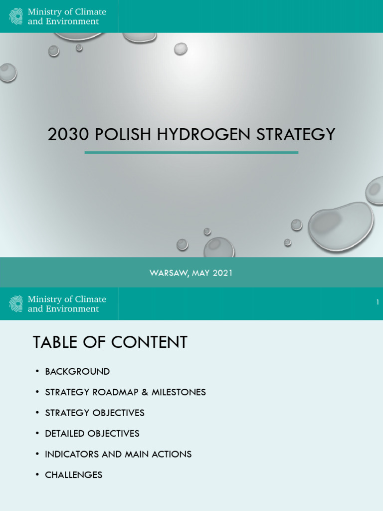 8 - Polish Hydrogen Strategy Draft Presentation 0 | PDF